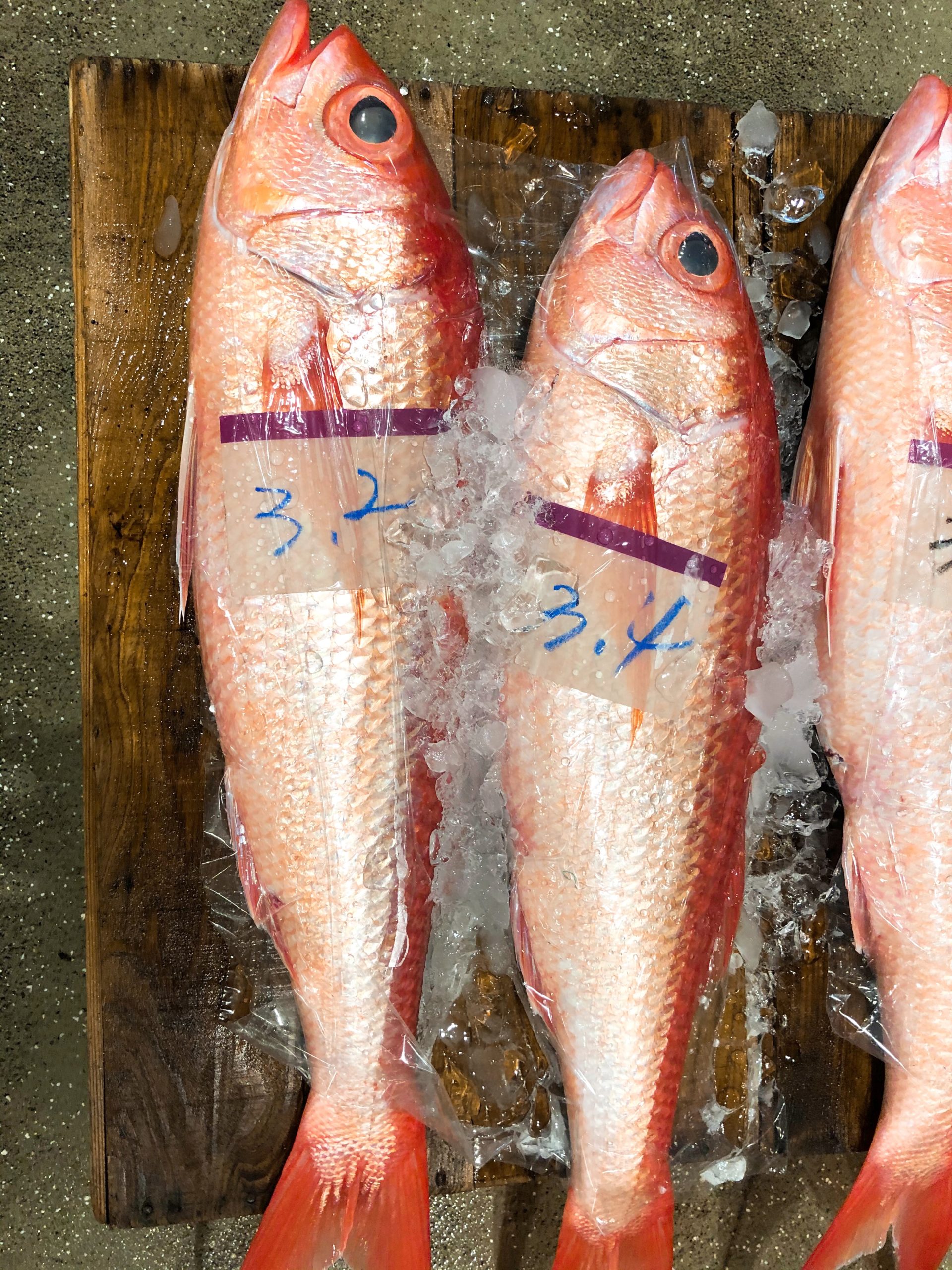 img_2610.jpg | 津曲商店